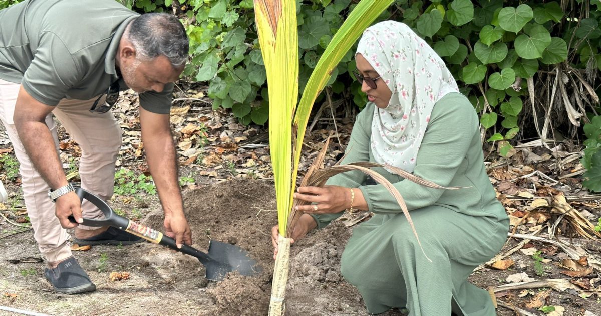 11 ރަށަކަށް ސަރުކާރުން ރުށް ހަދިޔާކޮށްފި – Dhen.mv