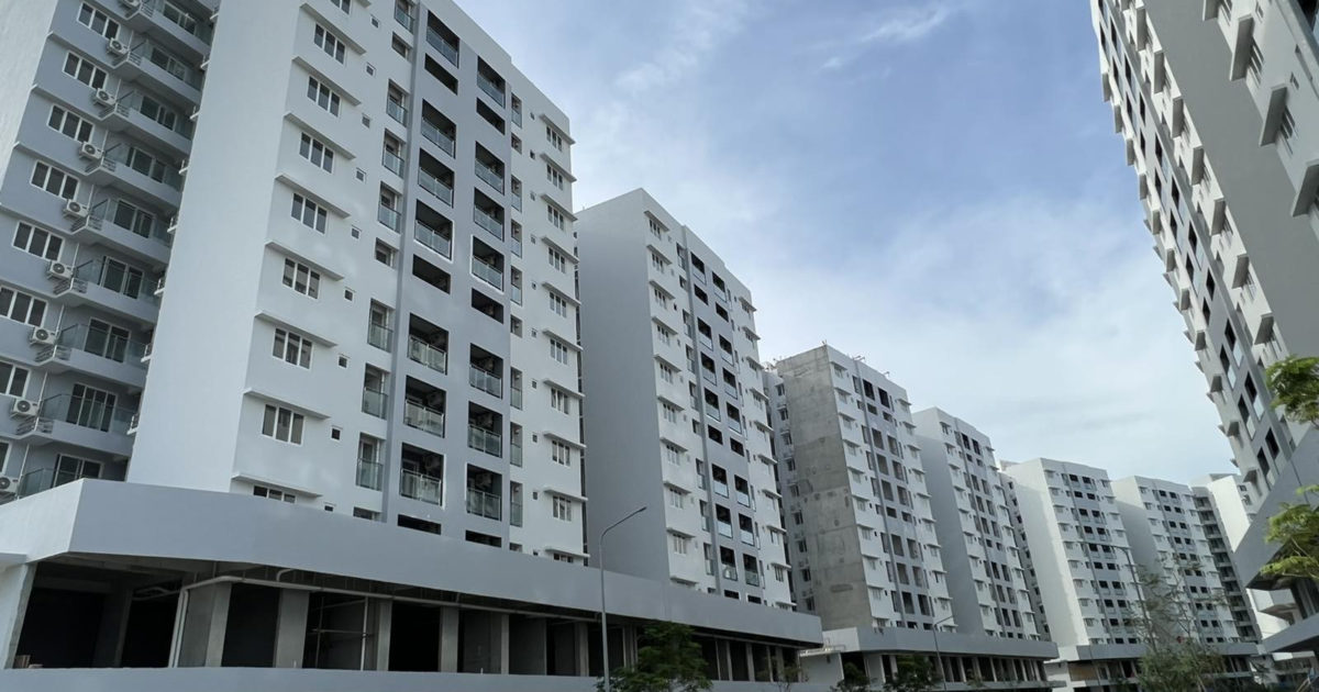 ވިނަރެސް ފުލެޓުތަކުގެ ތަޅުދަނޑި މިމަސް ނިމުމުގެ ކުރިން ހަވާލުކުރަނީ – Dhen.mv