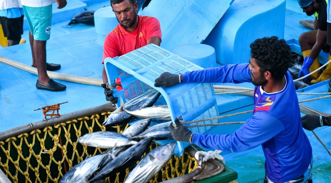 ރާއްޖޭގައި ލޭނު އަޅަން ހުއްދަ ދޭތީ ބައިނަލްއަގުވާމީ ޕެޓިޝަނެއް – Dhen.mv