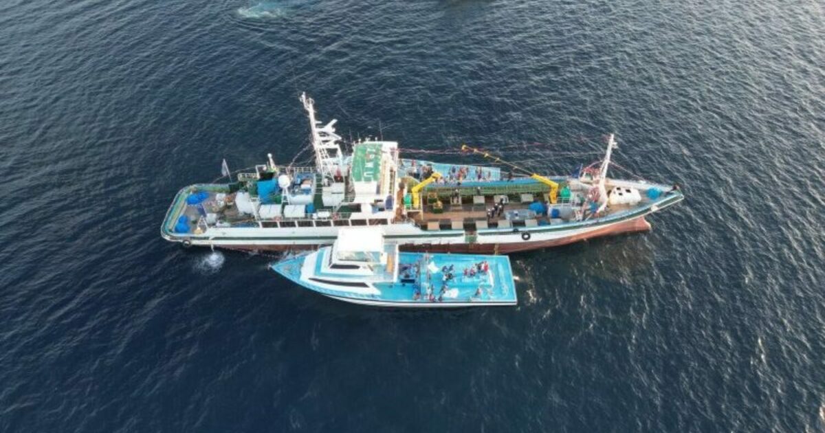 64 މިލިއަން ޑޮލަރުގެ ލޯނެއް ހޯދައި މިފްކޯއިން ބޮޑު ޕްރޮޖެކްޓެއް ފަށަން ތައްޔާރުވެއްޖެ – Dhen.mv